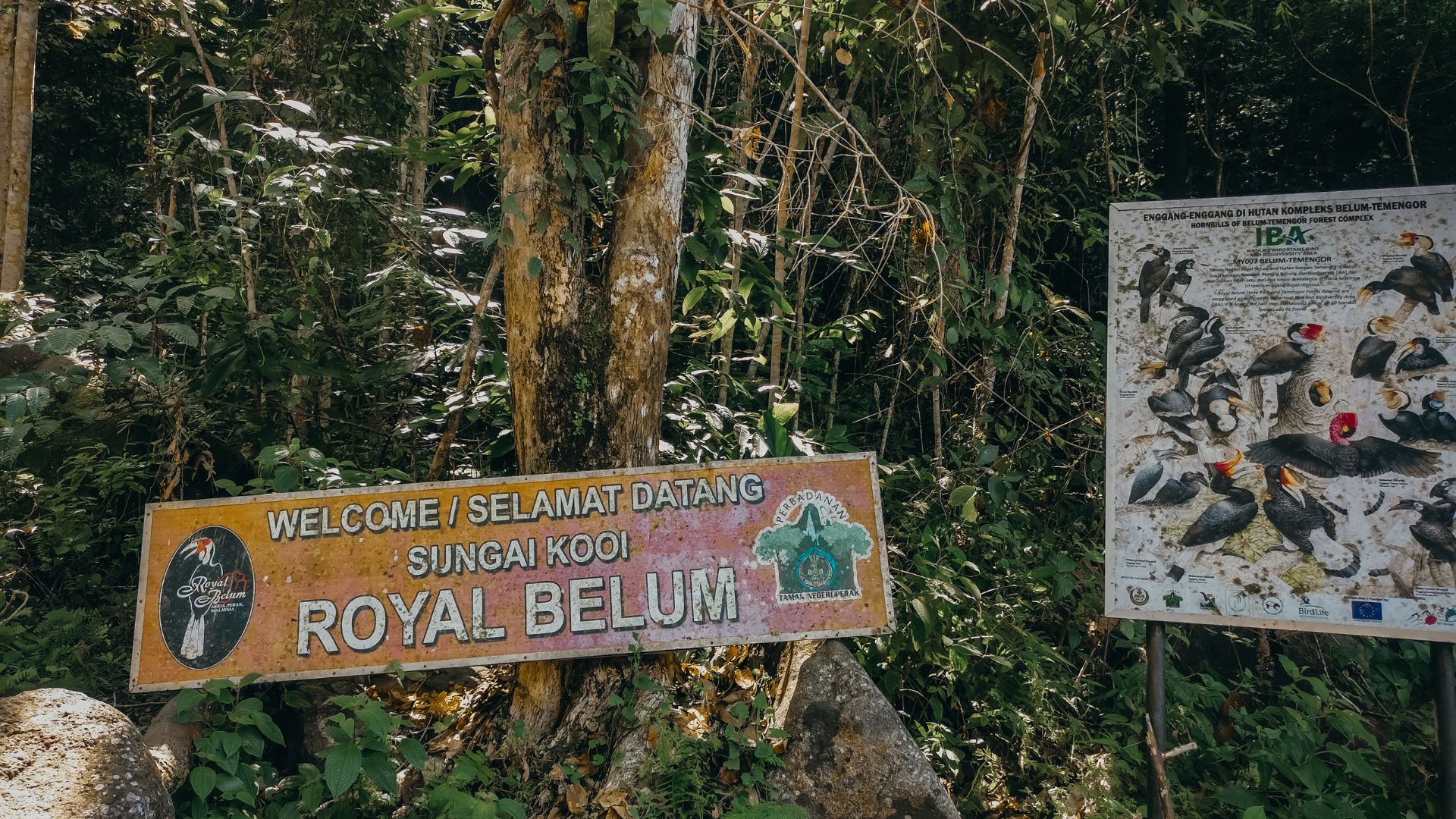 Royal Belum – Tourism Perak Malaysia