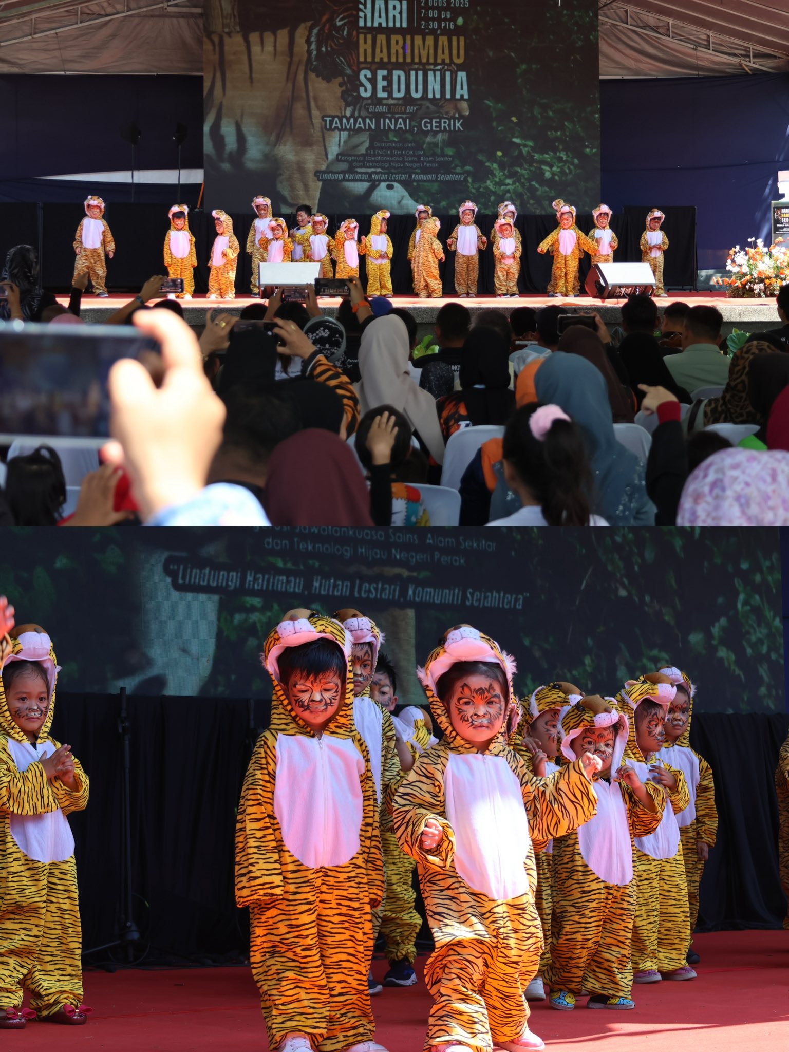 Perak Strengthens Commitment to Malayan Tiger Conservation on World ...