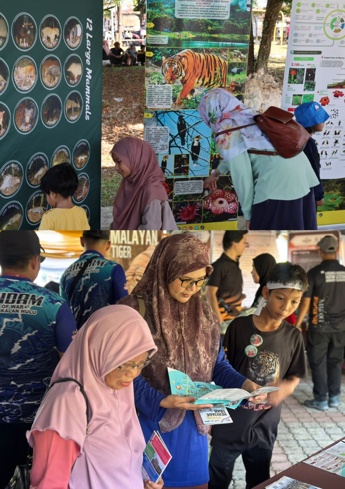 Perak Strengthens Commitment to Malayan Tiger Conservation on World ...