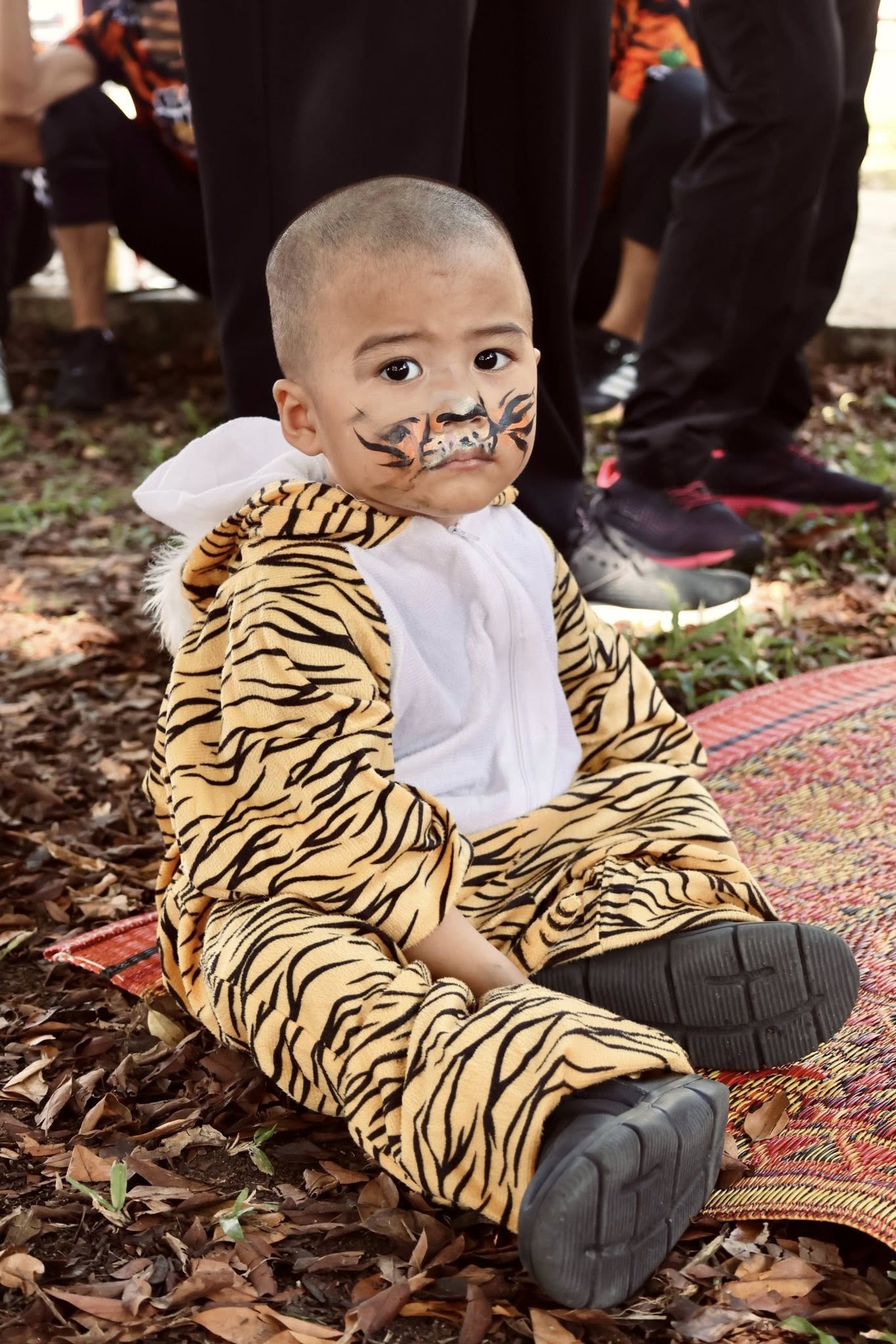Perak Strengthens Commitment to Malayan Tiger Conservation on World ...